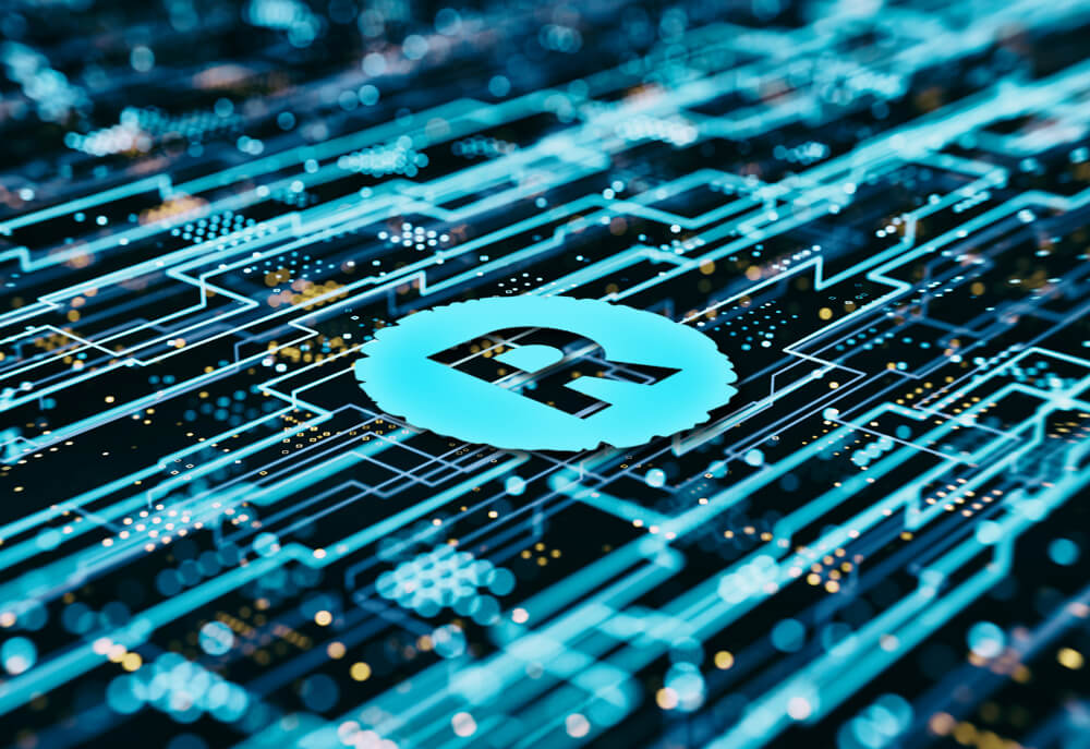 Visibility & Reporting | Redwood Logistics